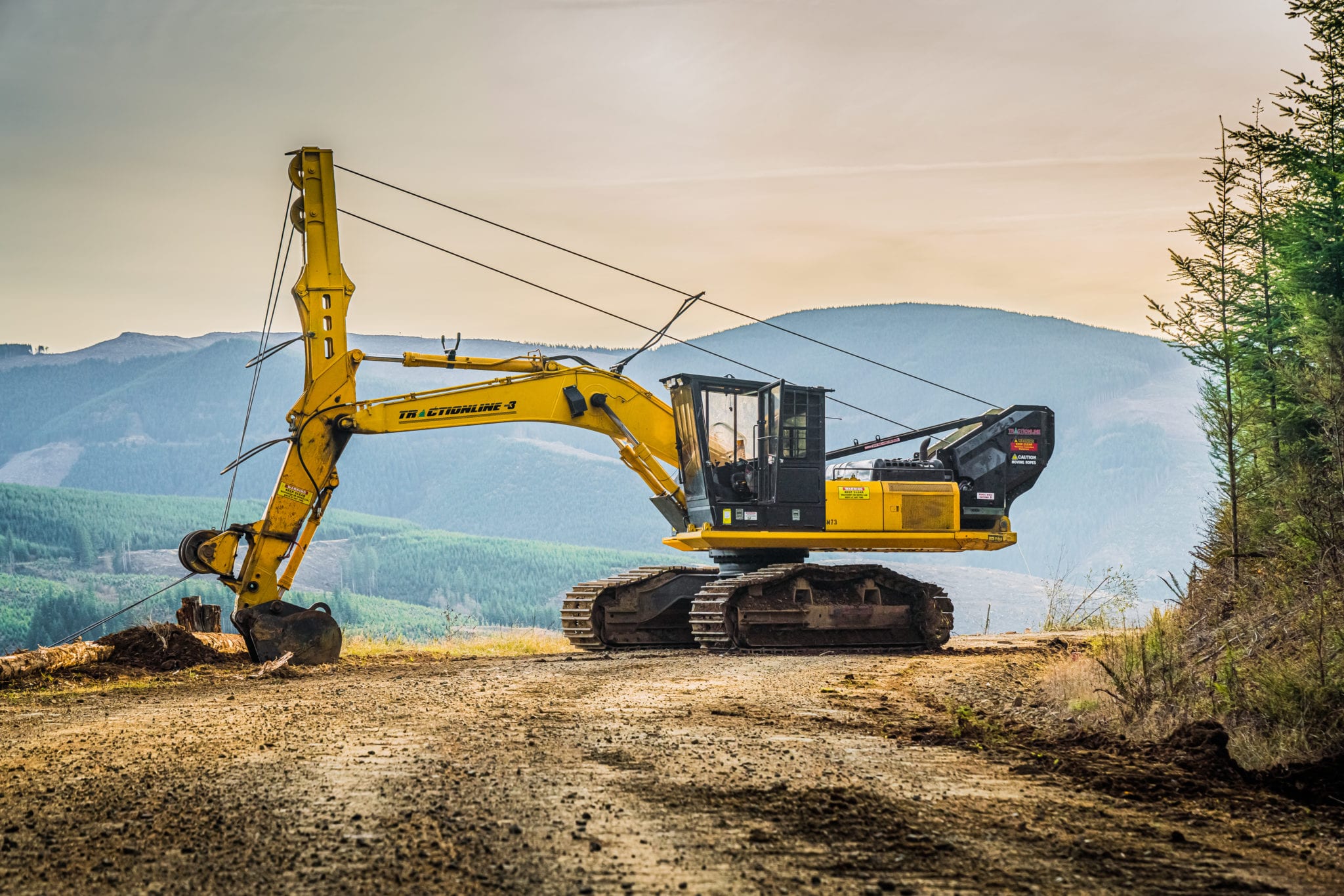 About - Technical Forest Solutions