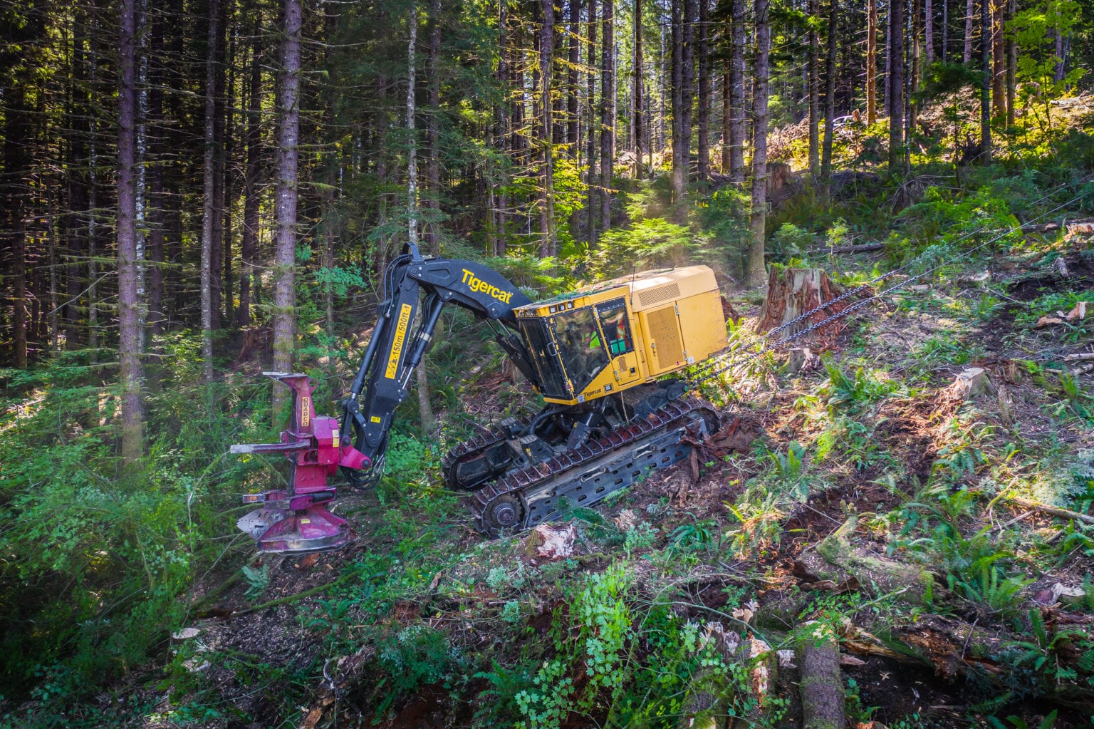 About - Technical Forest Solutions