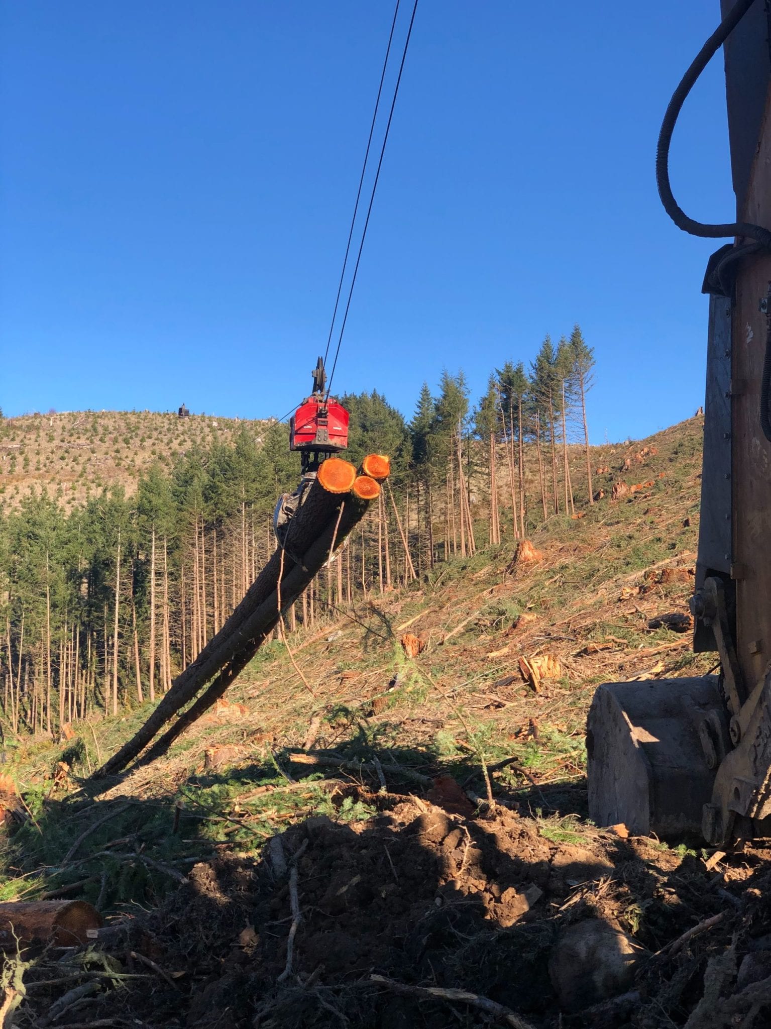 Steep Slope Logging - Technical Forest Solutions