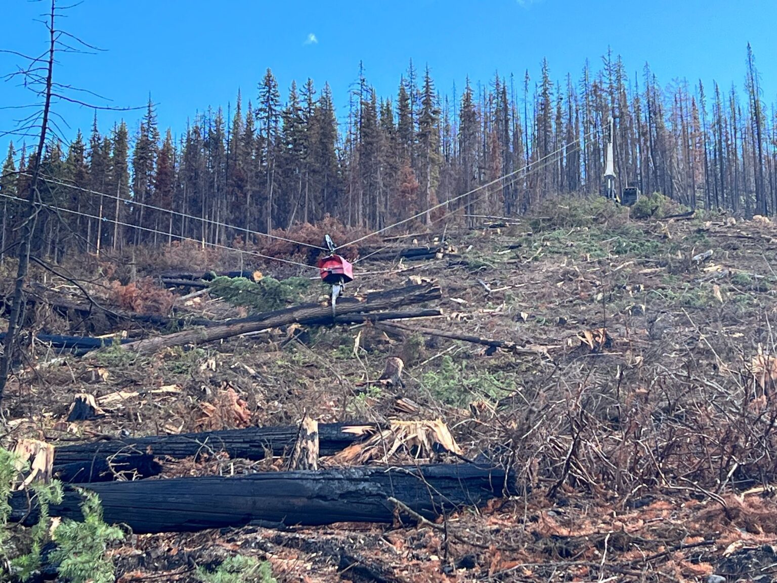 Harvestline - Technical Forest Solutions